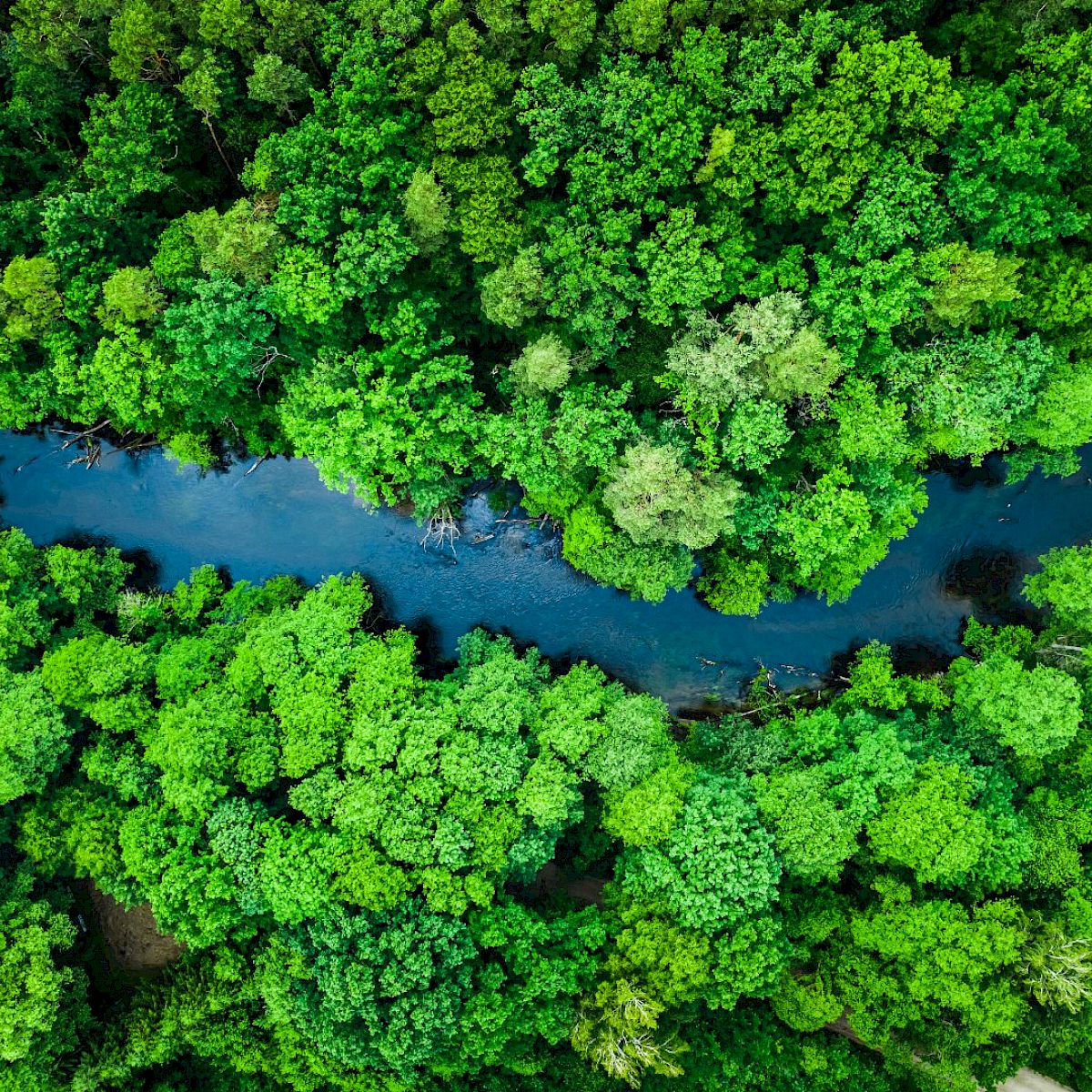 Policies | Hitrac Engineering Group SpA