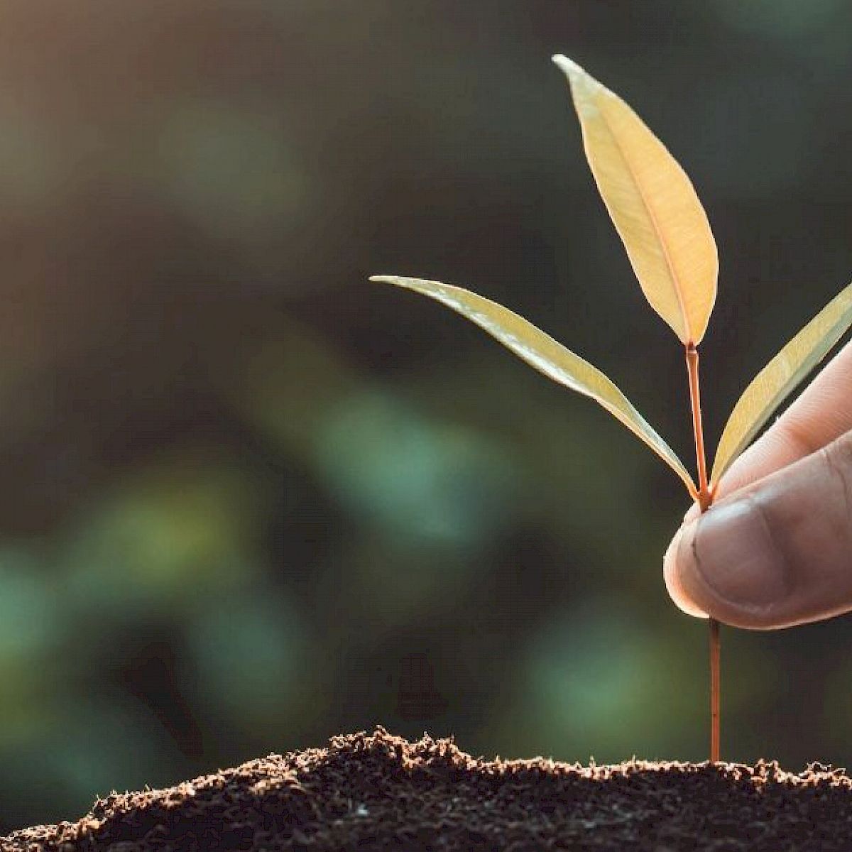 Quality, Environment & Safety | Hitrac Engineering Group SpA